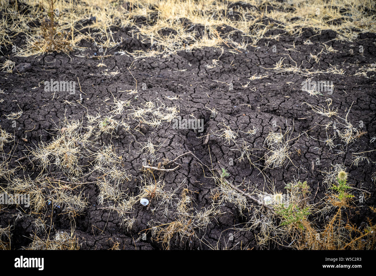 Field visits near Debre Berhan with Ray Weil and Kate Tully . Debre ...