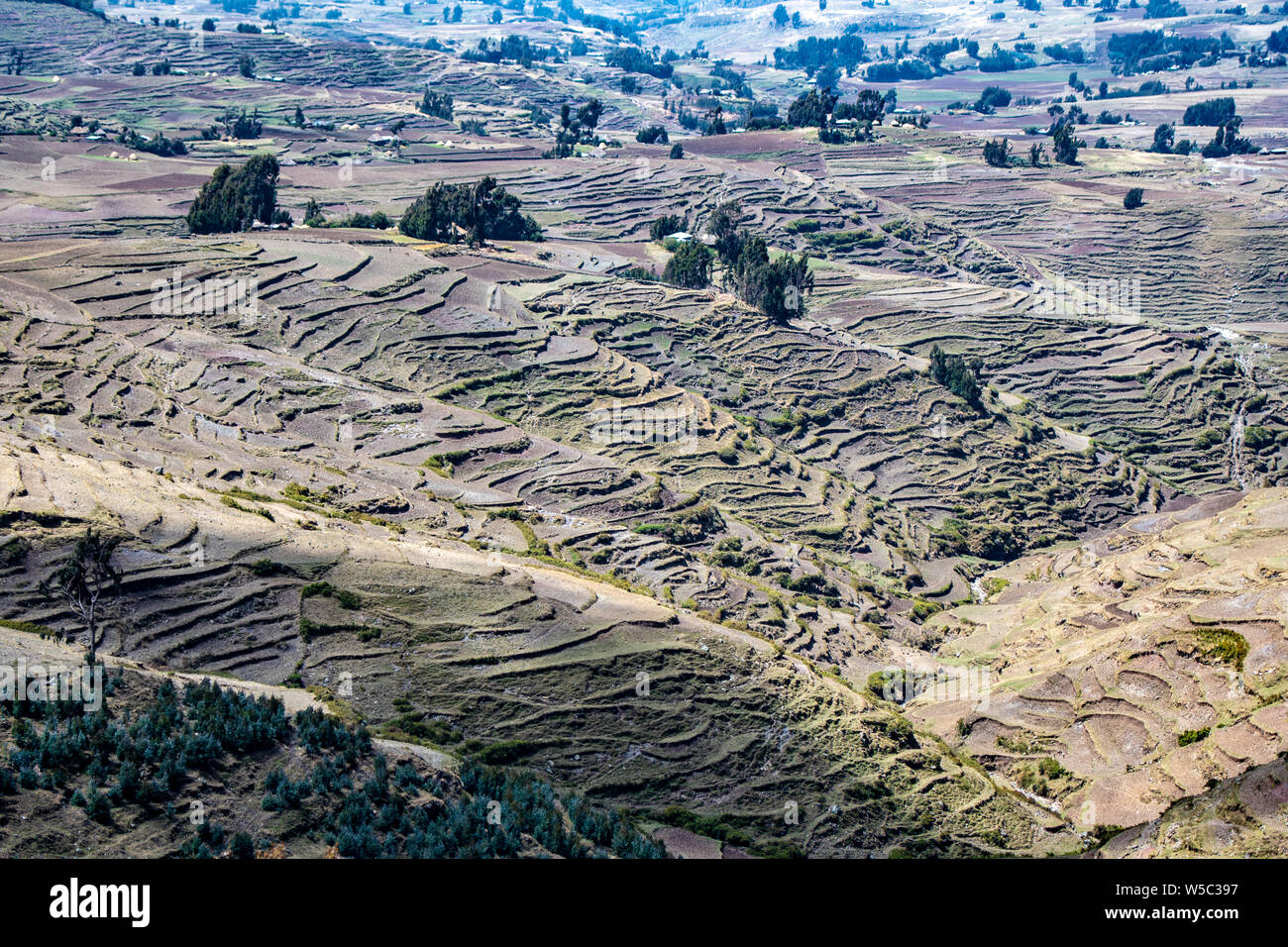 Hillsides terraced for farming purposes near Ankober, Ethiopia Stock ...