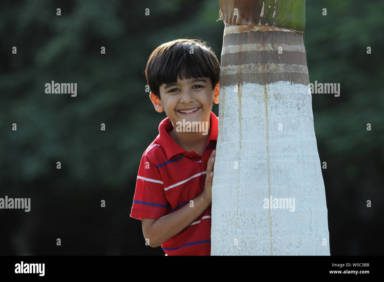 Boy peeking out from behind tree Stock Photo - Alamy