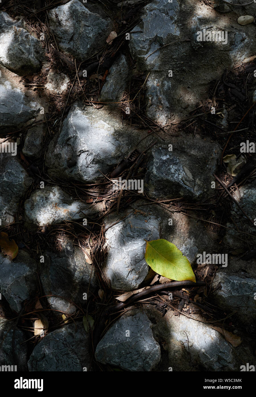 Rock shade hi-res stock photography and images - Alamy