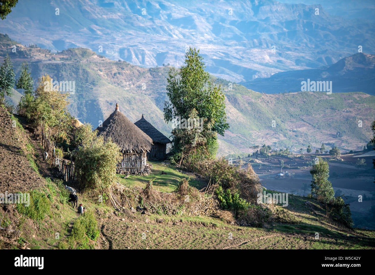 Wooden and straw thatched huts atop a hillside, Ankober, Ethiopia Stock ...