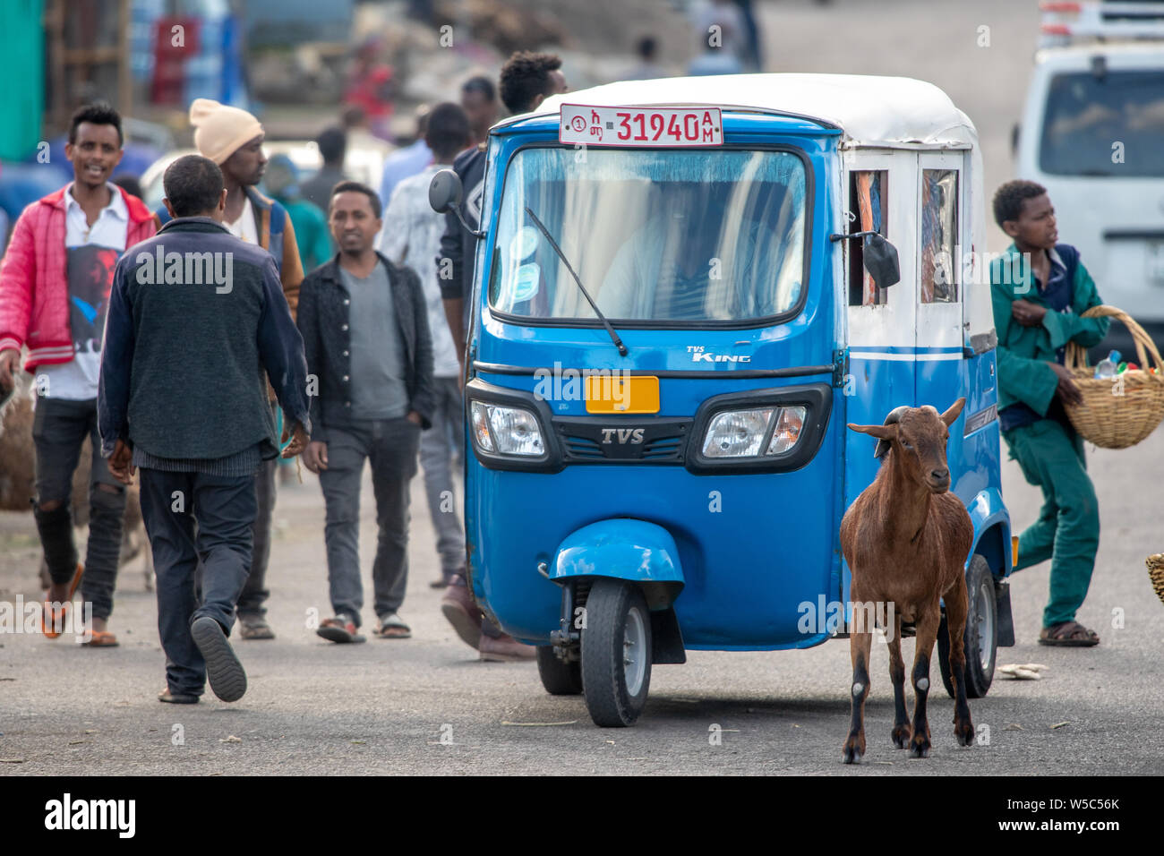 A taxi traverses through groups of animals and people alike on the ...