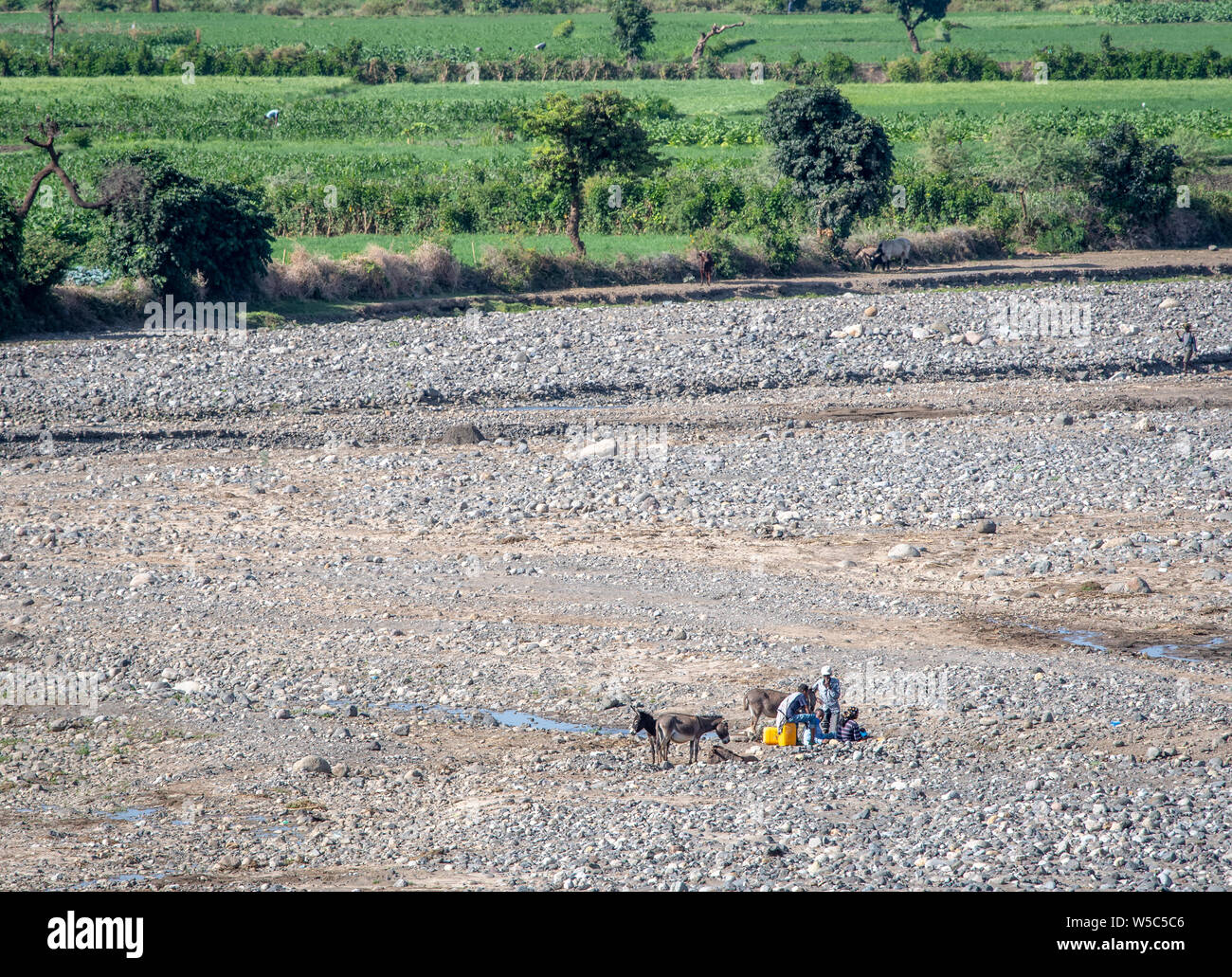 A group of men sitting down in a rocky riverbed with their donkeys ...