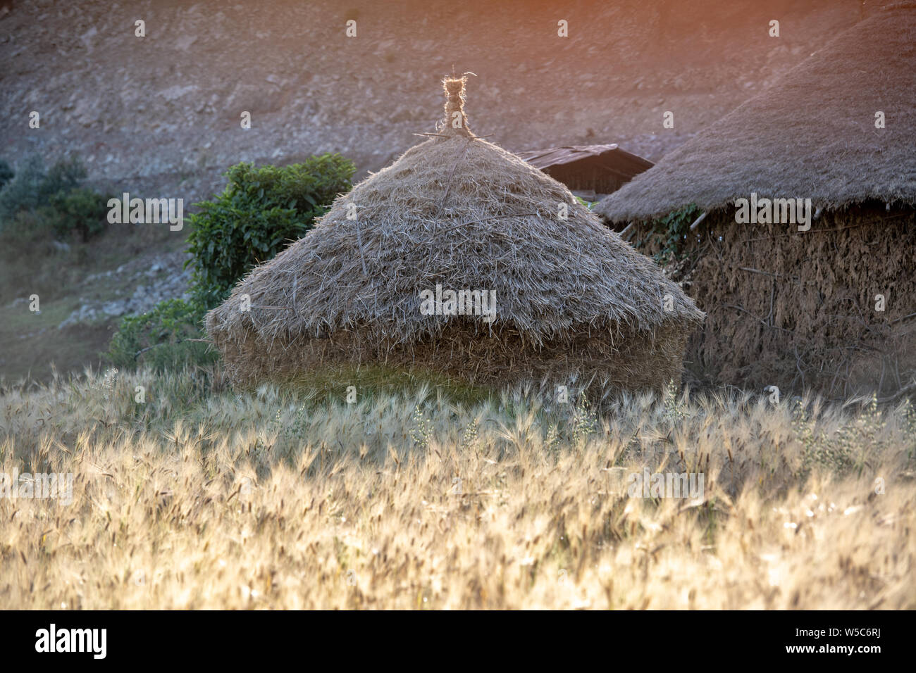 Simple straw hut hi-res stock photography and images - Alamy