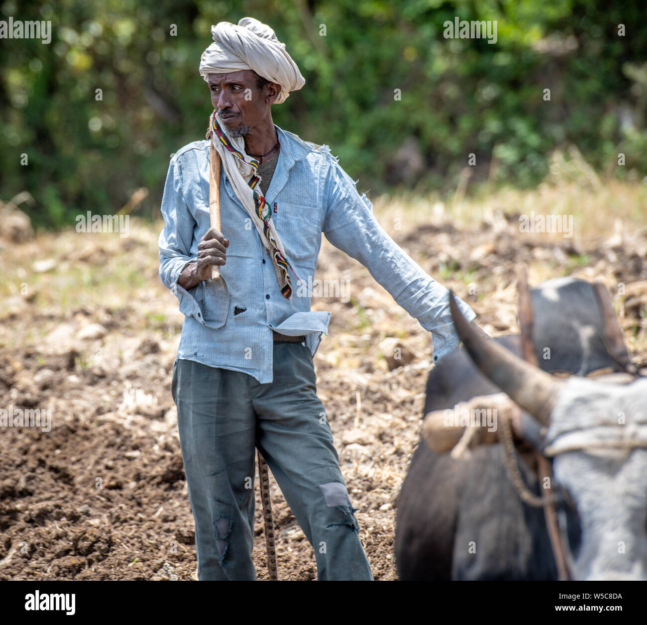 An Ethiopian standing stoically in a field, Debre Berhan, Ethiopia ...