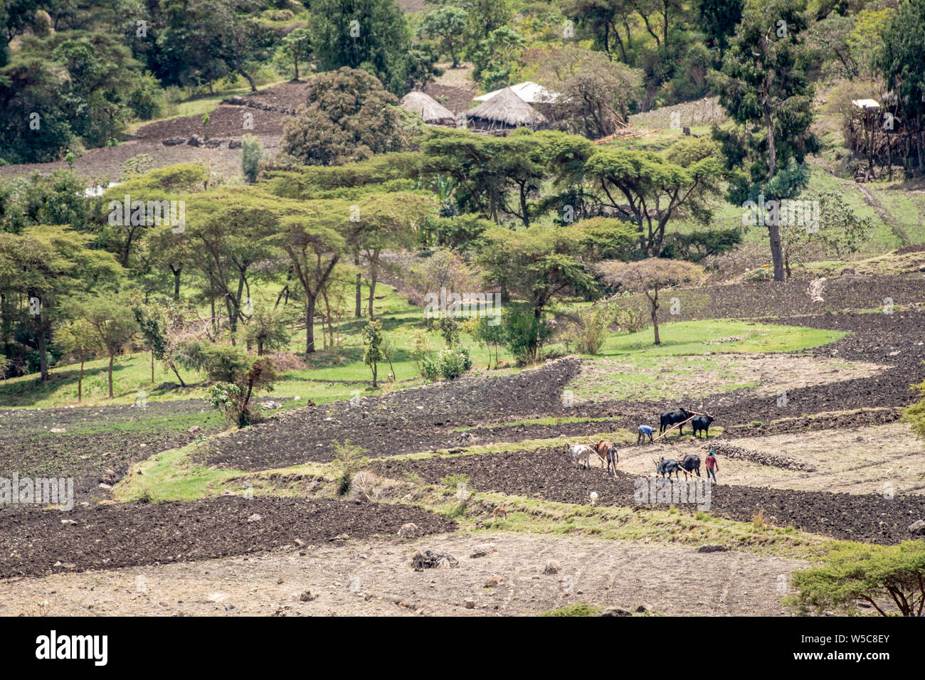 The countryside of Debre Berhan, Ethiopia Stock Photo - Alamy