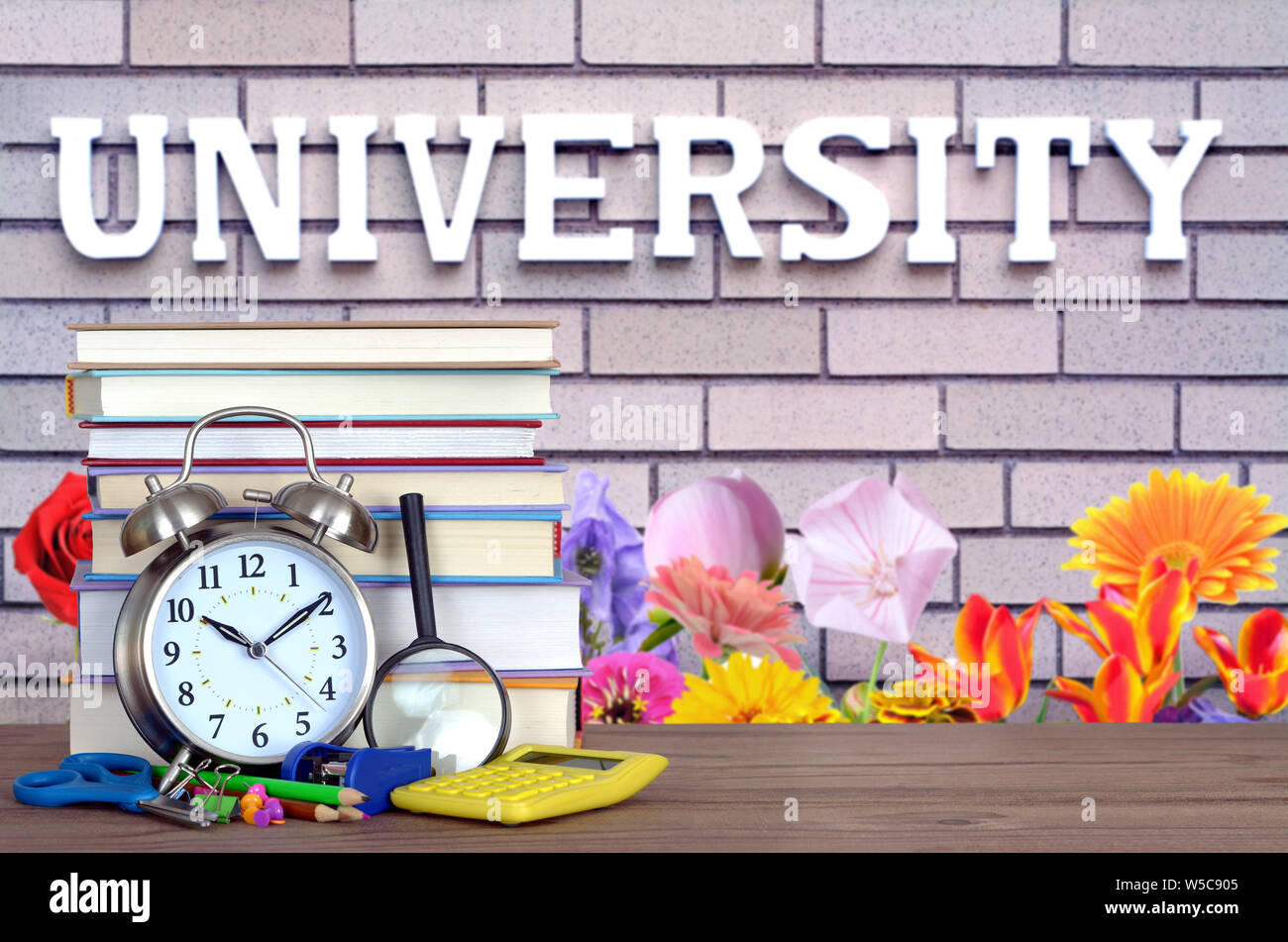 university sign with book for education concept Stock Photo - Alamy