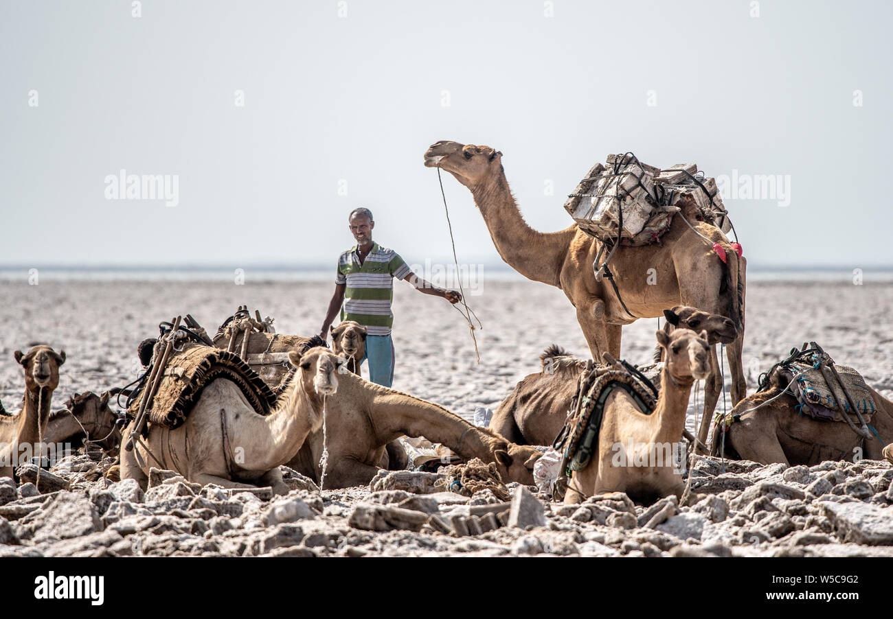 Afar region salt production hi-res stock photography and images - Alamy