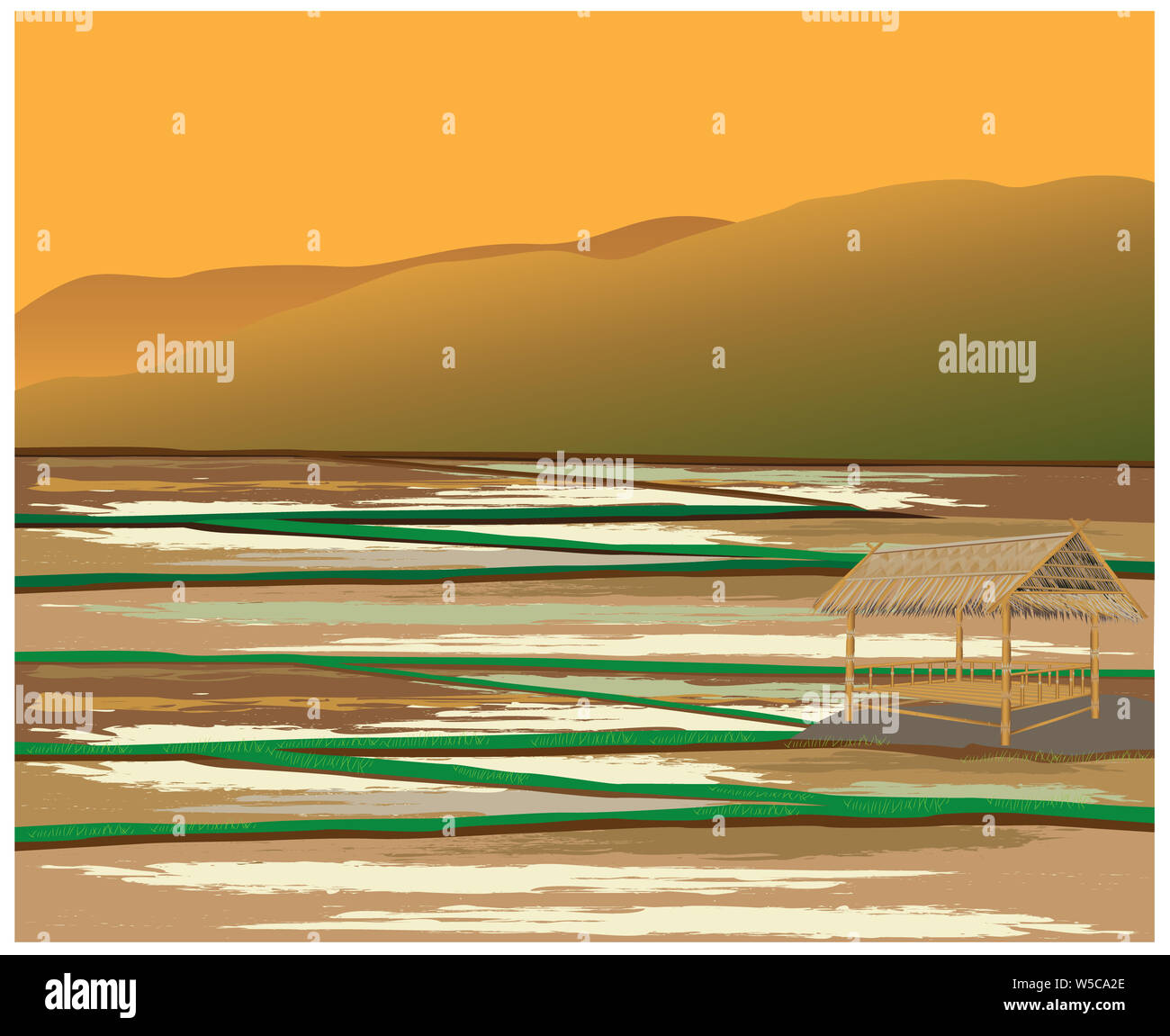 paddy field vector design Stock Photo - Alamy