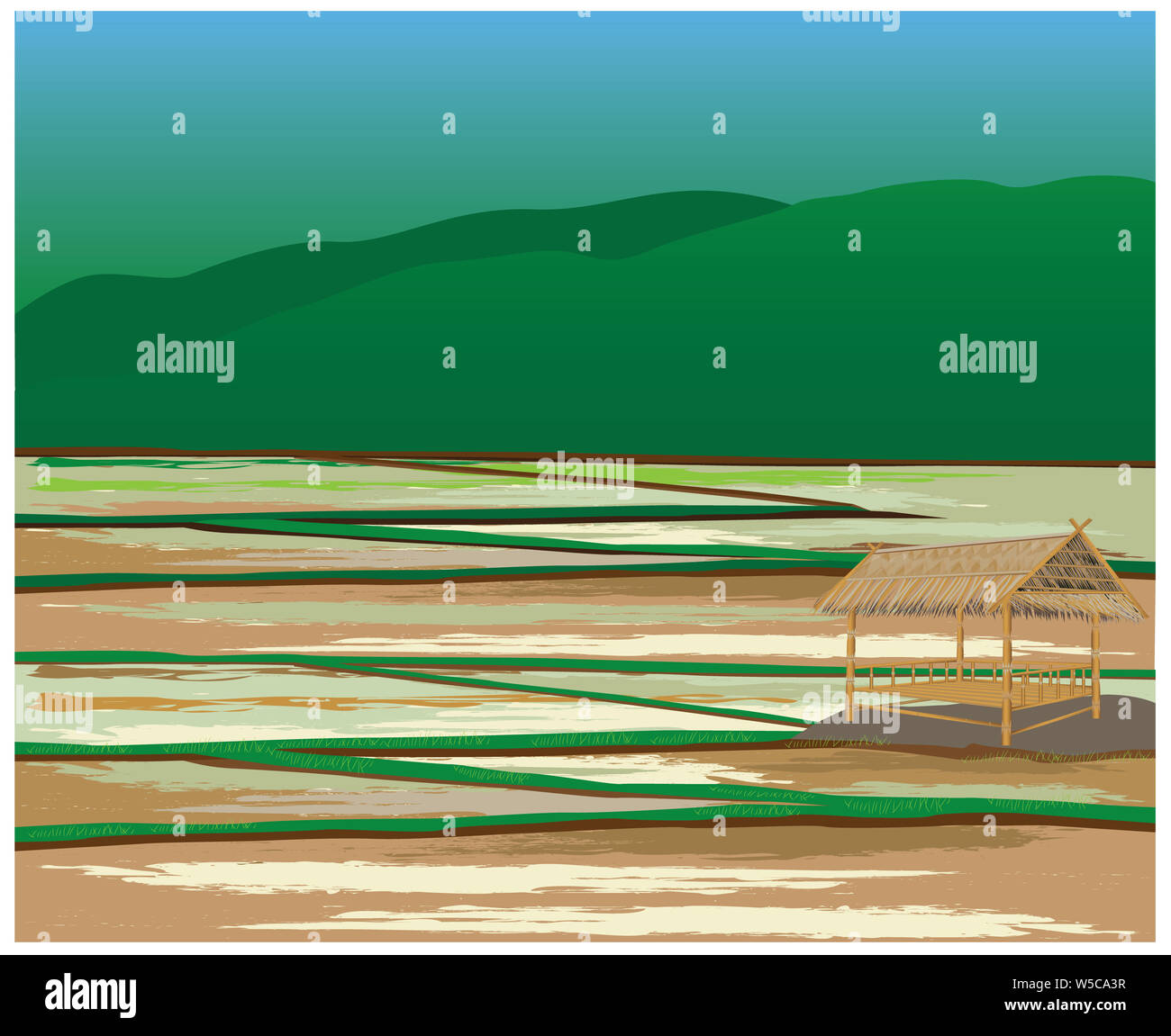 paddy field vector design Stock Photo - Alamy