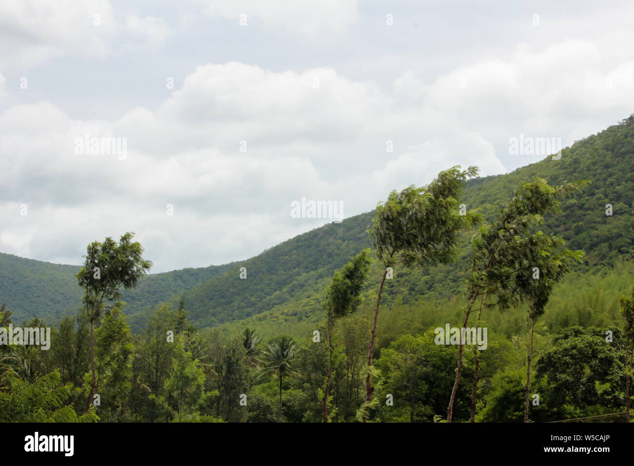 Beautiful view of the mountain range of Talamalai Reserve Forest, Hasanur, Tamil Nadu ...
