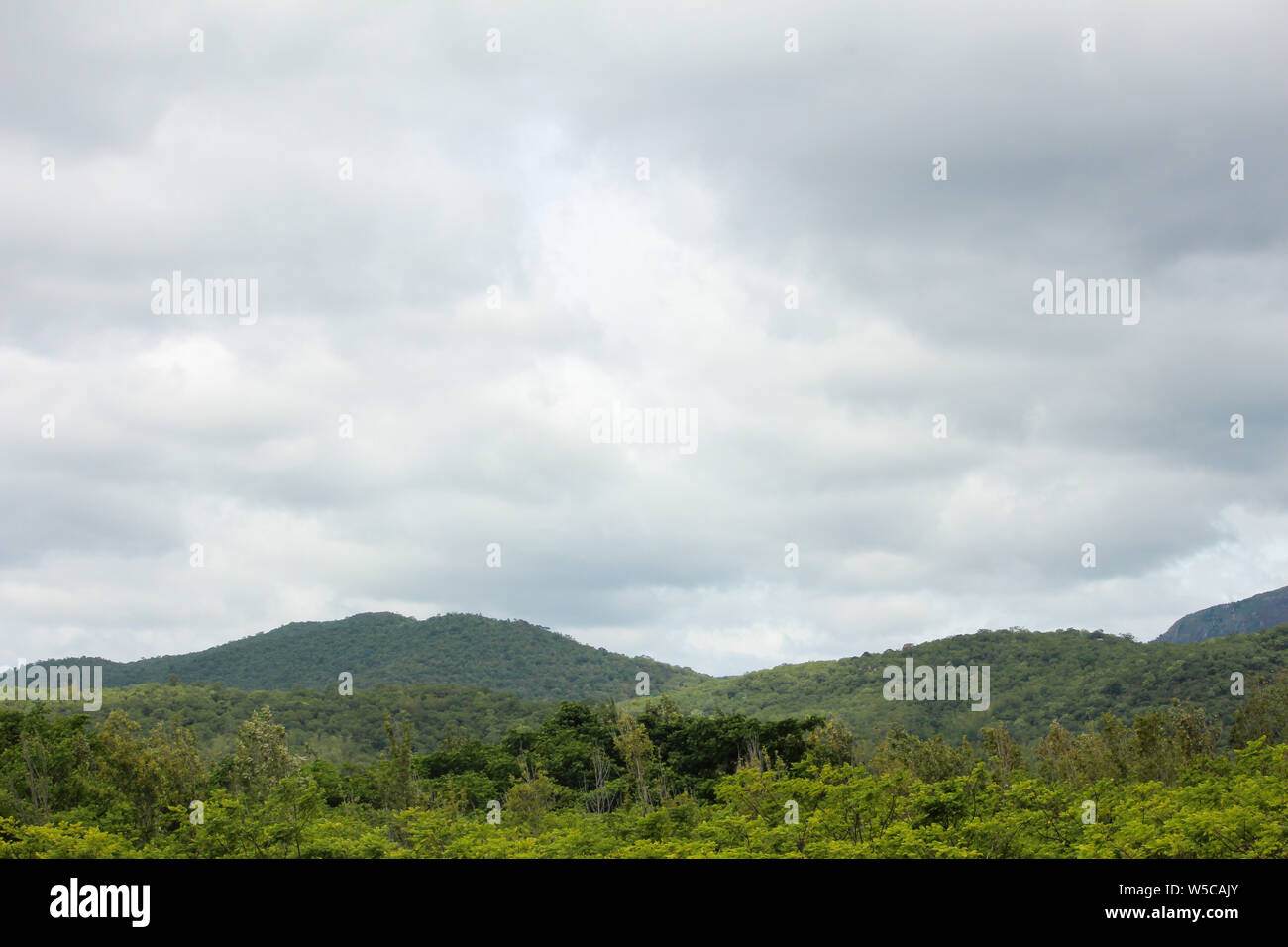 Beautiful view of the mountain range of Talamalai Reserve Forest ...