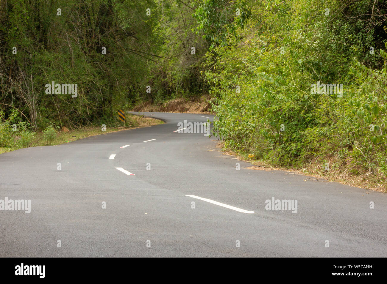 Beautiful Ghat road along the mountain range of Talamalai Reserve ...