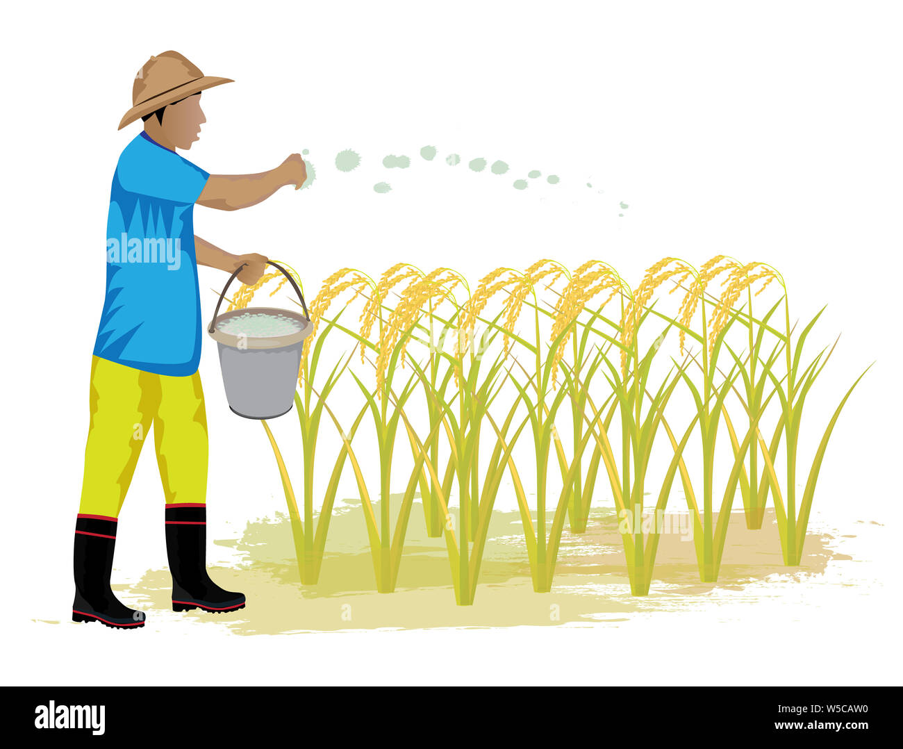 farmer sow manure into rice plant vector design Stock Photo - Alamy