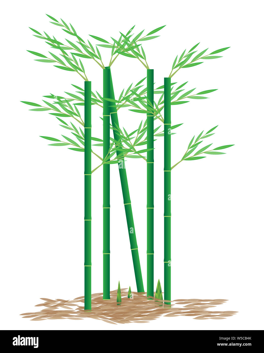 bamboo vector design Stock Photo - Alamy