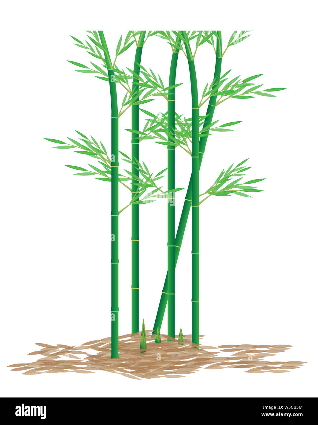 bamboo vector design Stock Photo - Alamy