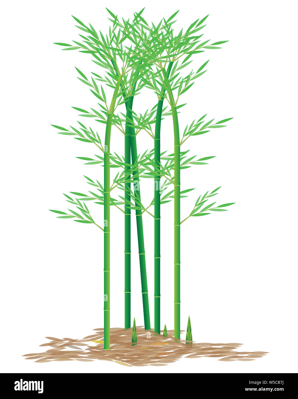 bamboo vector design Stock Photo - Alamy