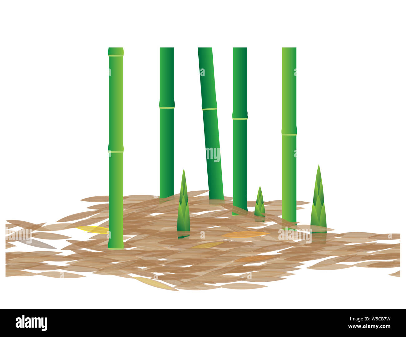 bamboo vector design Stock Photo - Alamy