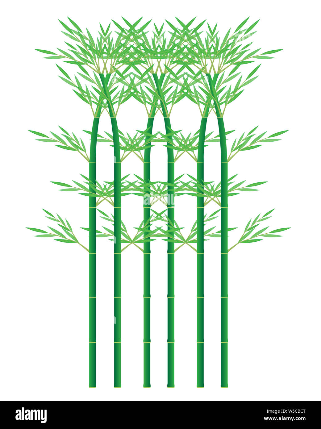 bamboo vector design Stock Photo - Alamy