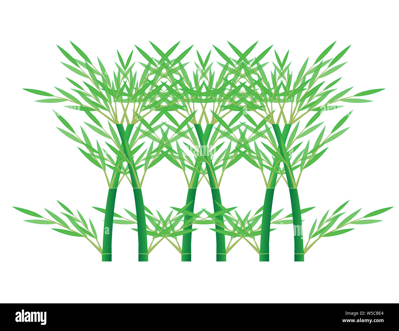bamboo vector design Stock Photo - Alamy