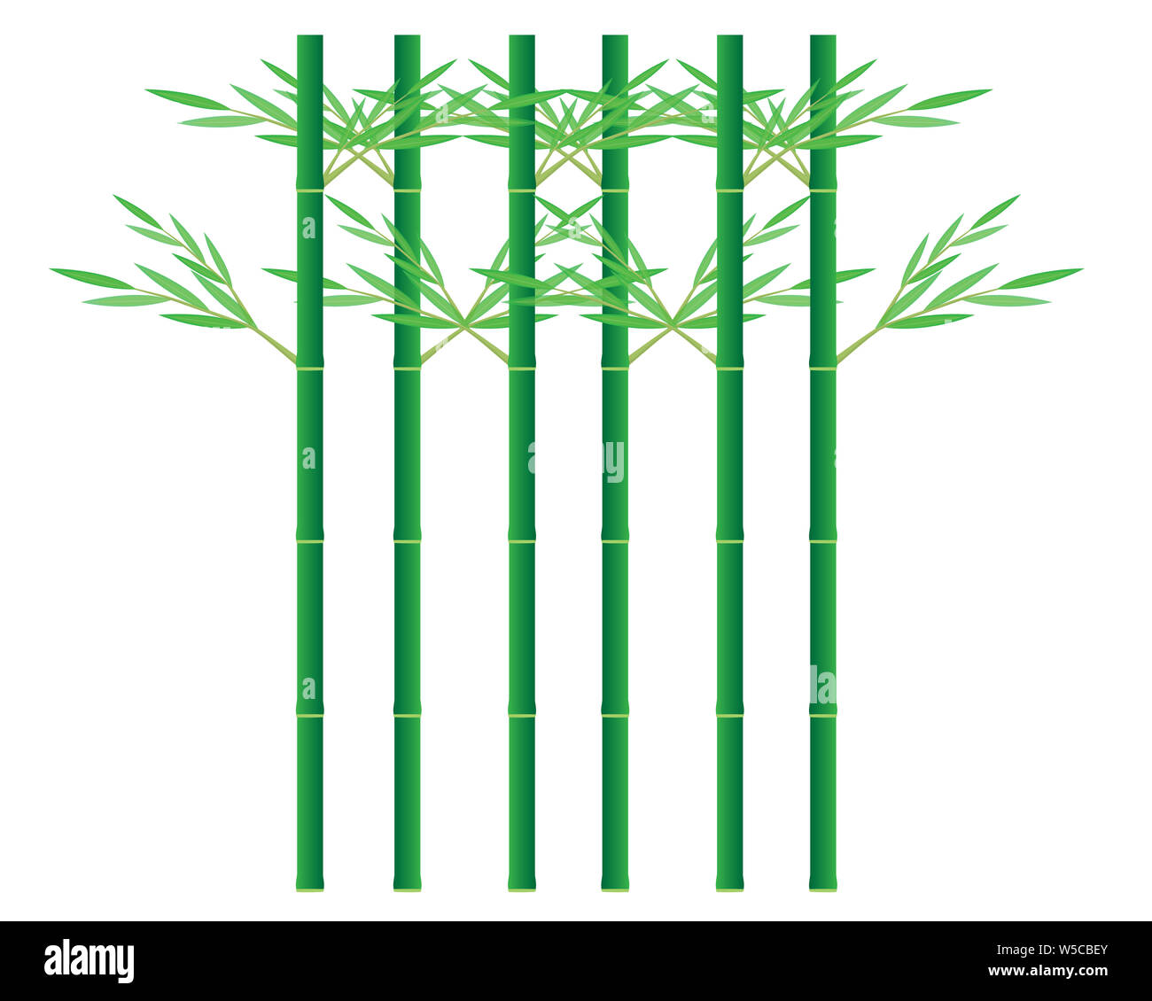 bamboo vector design Stock Photo - Alamy