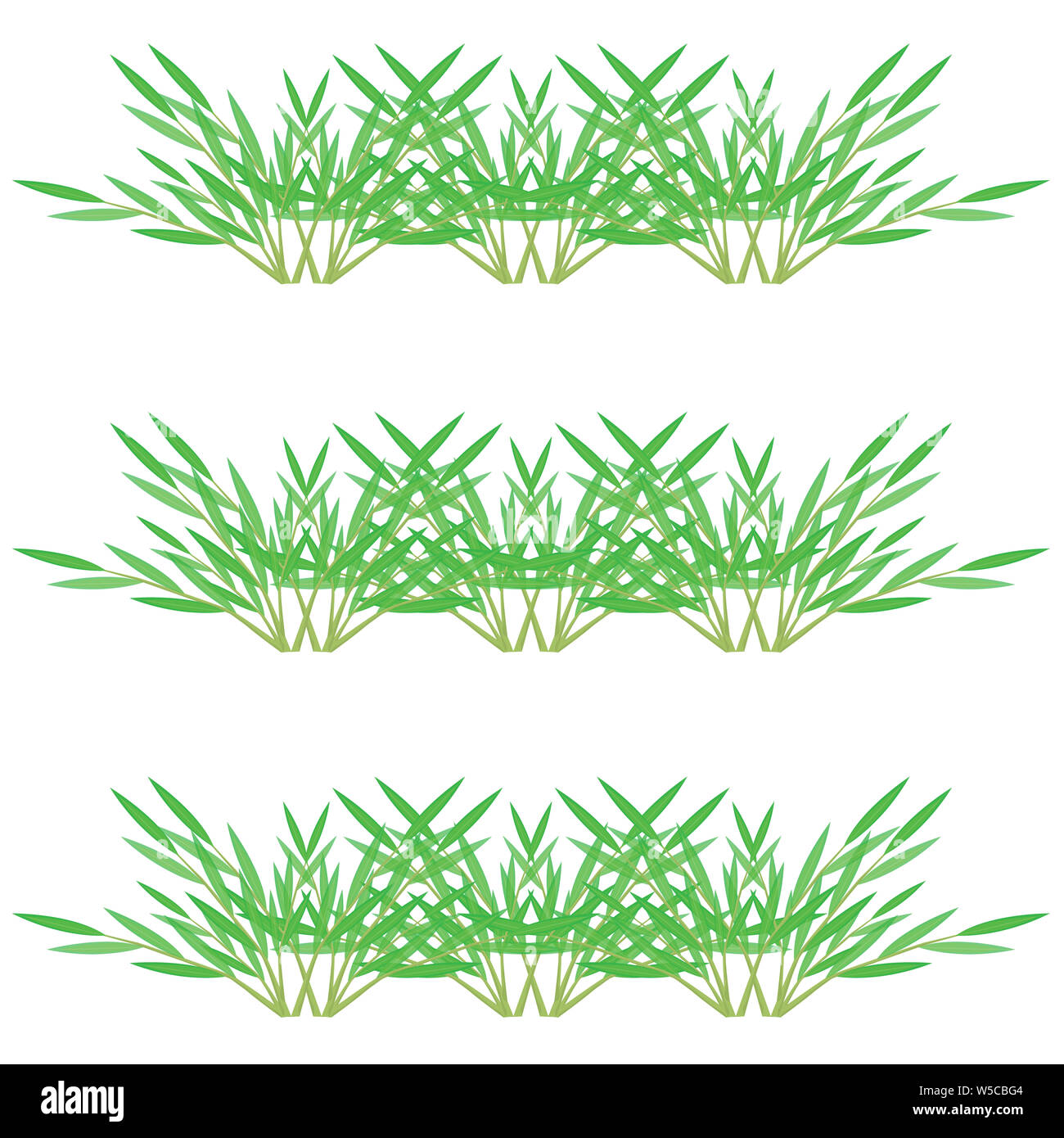 bamboo vector design Stock Photo - Alamy