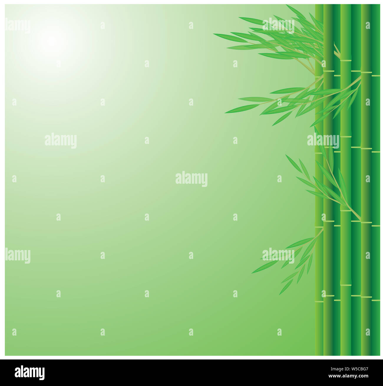 bamboo background vector design Stock Photo - Alamy