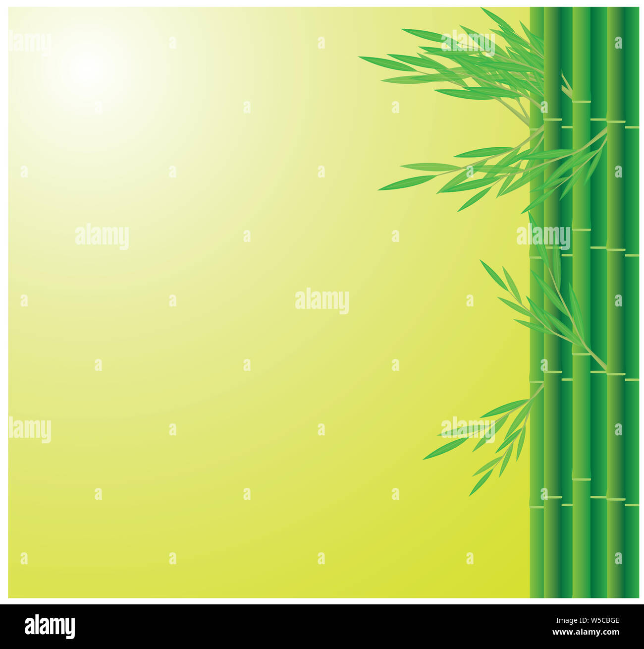 bamboo background vector design Stock Photo - Alamy