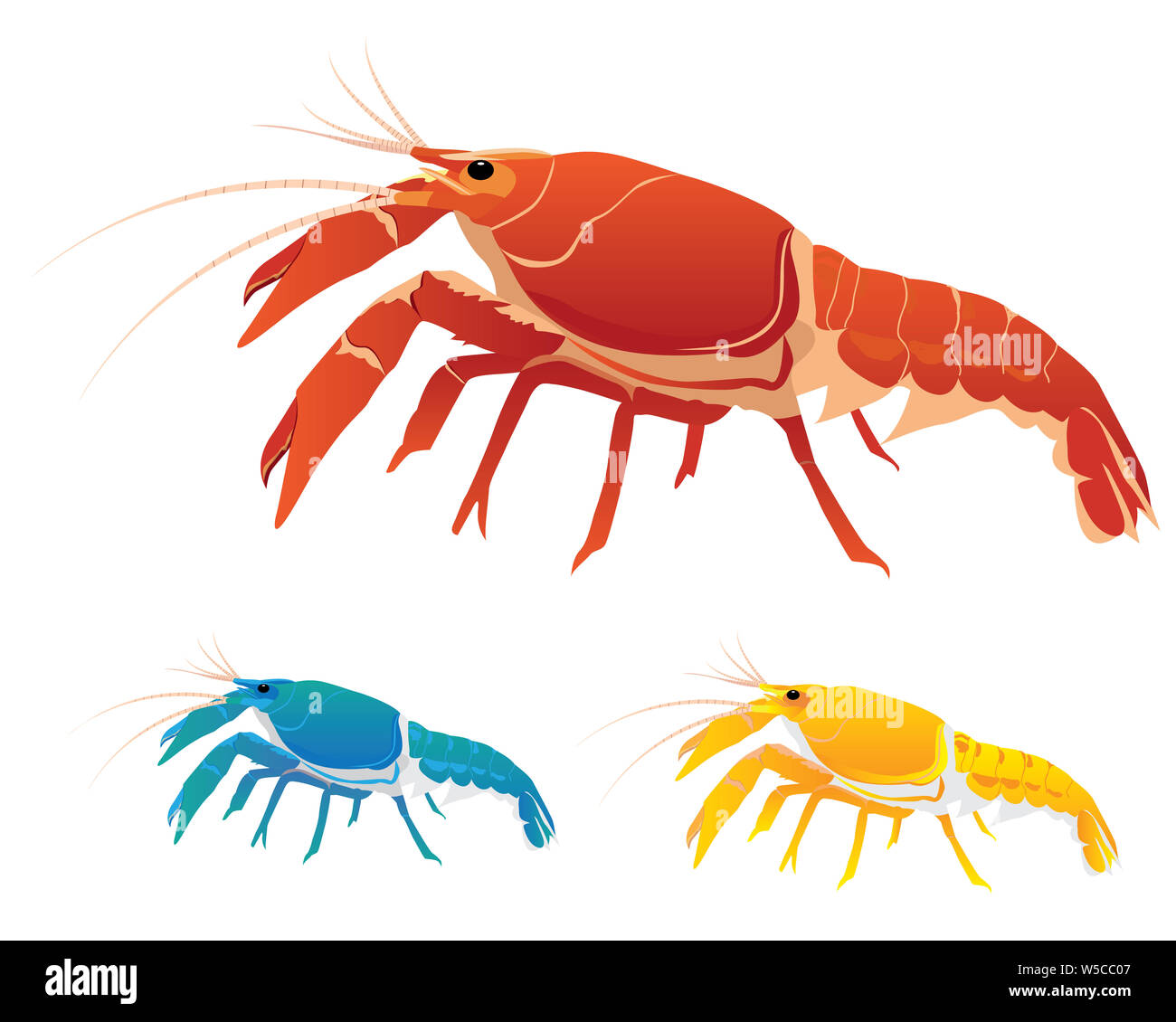 lobster vector design Stock Photo - Alamy