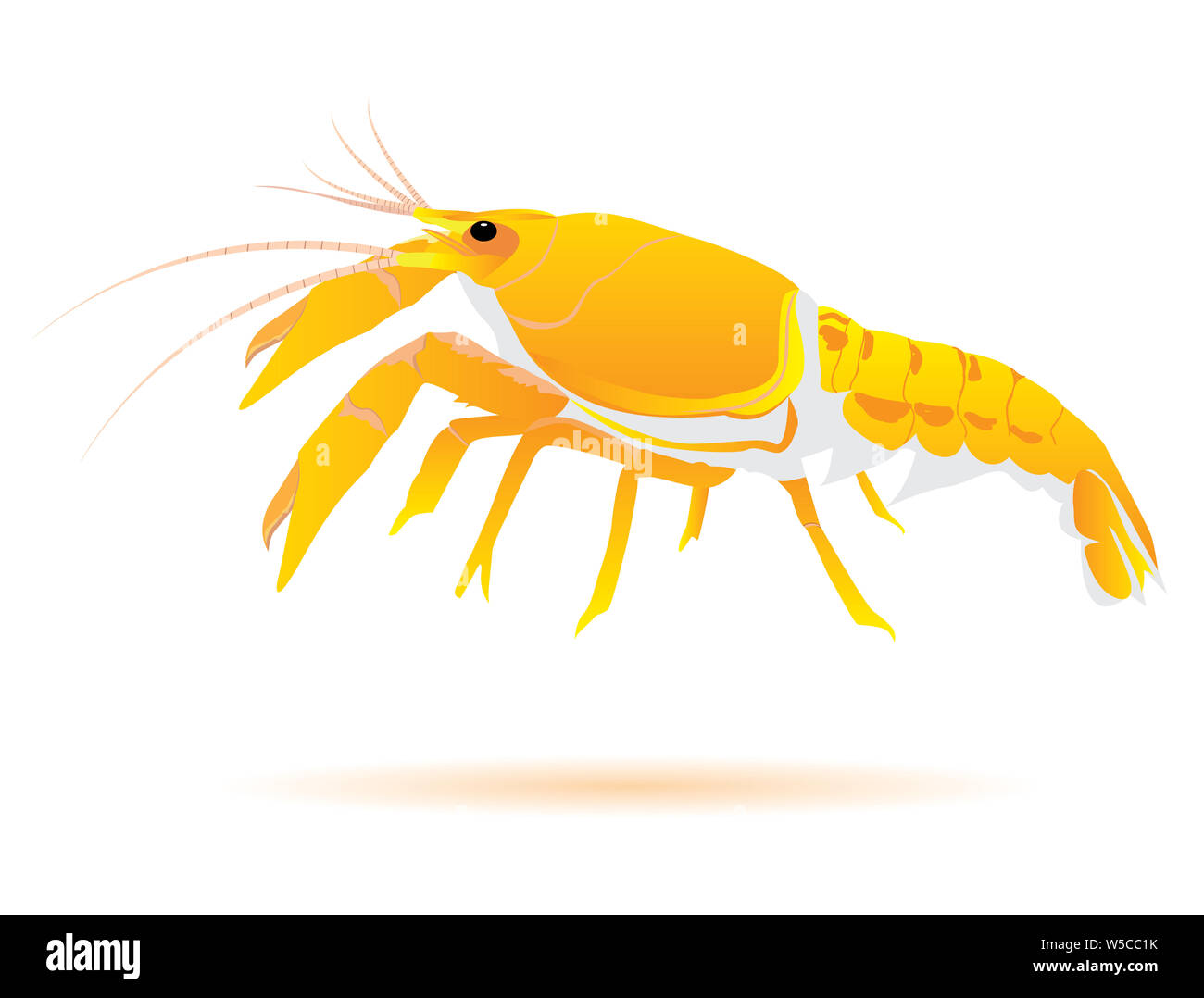 lobster vector design Stock Photo - Alamy