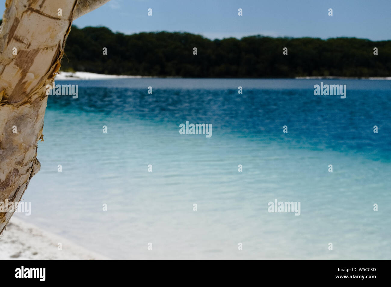 Lake Mackenzie on Fraser Island,Queensland is a freshwater lake popular ...