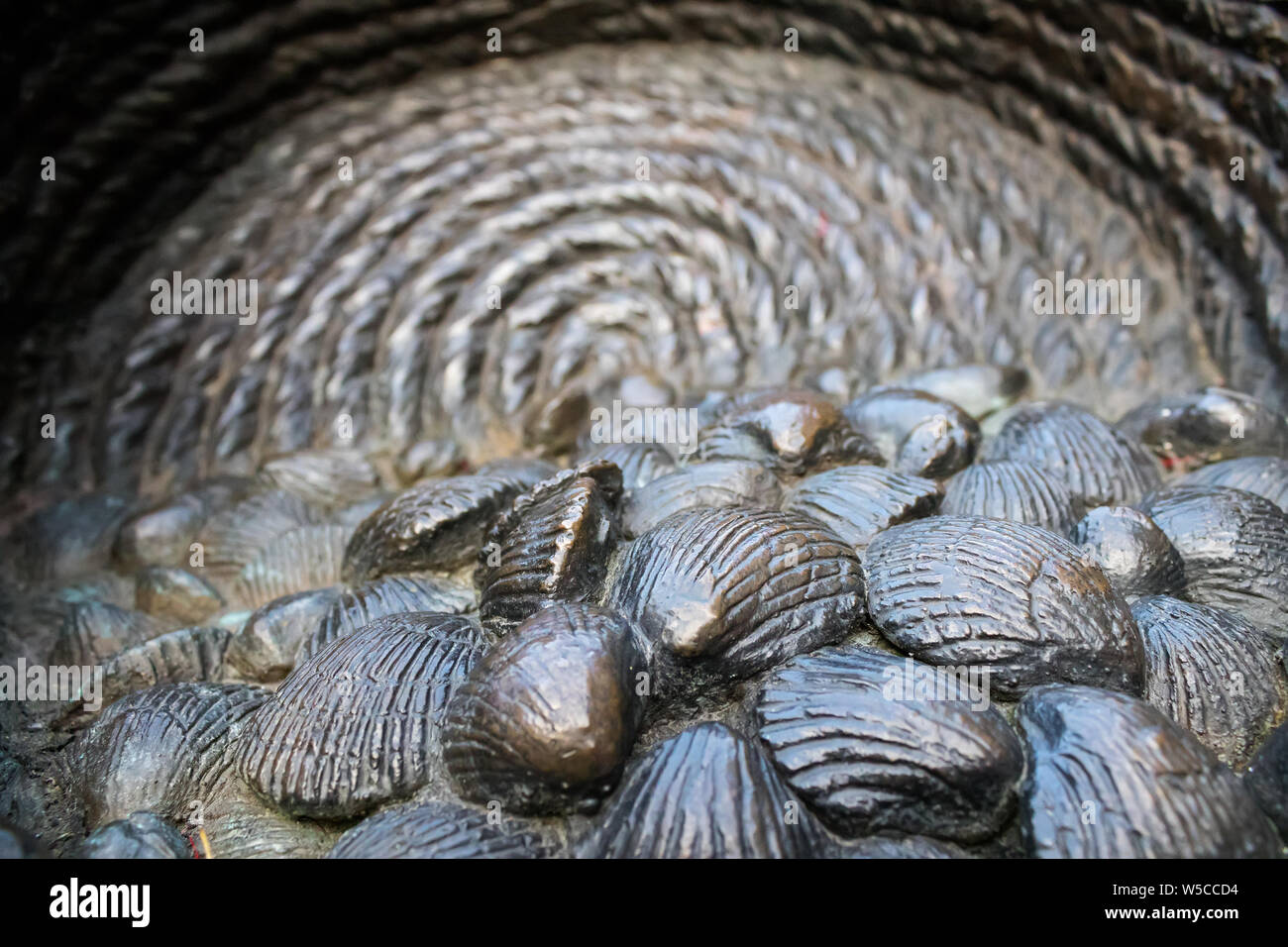 Drawing of clam shell hi-res stock photography and images - Alamy