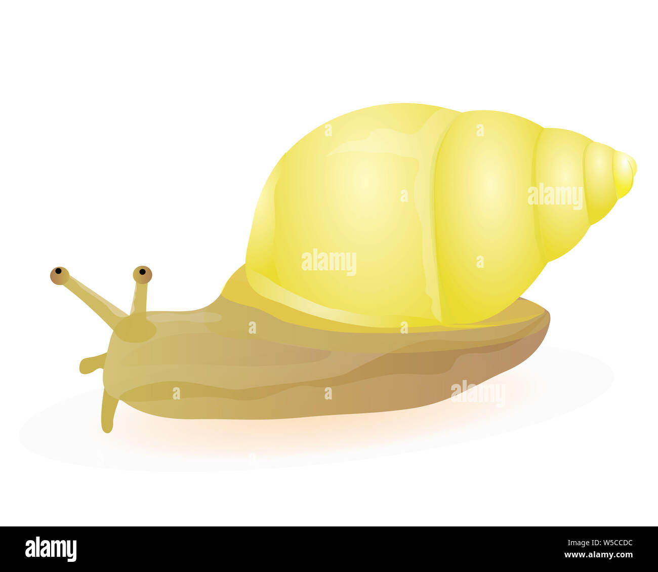 snail vector design Stock Photo - Alamy