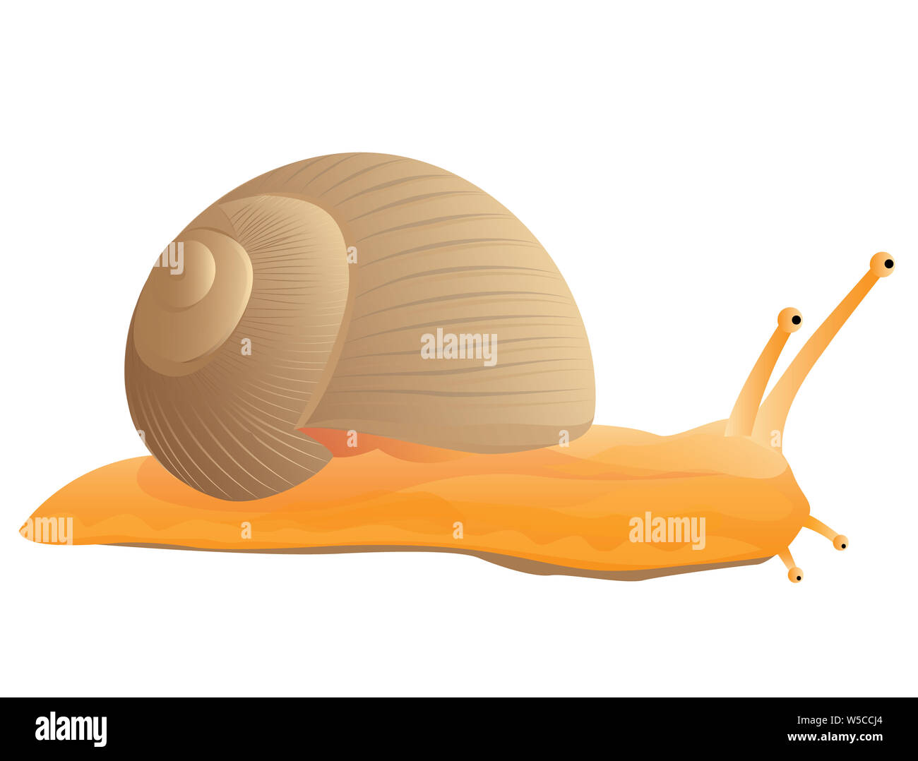 snail vector design Stock Photo - Alamy