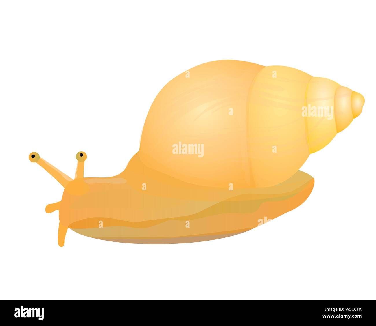 snail vector design Stock Photo - Alamy