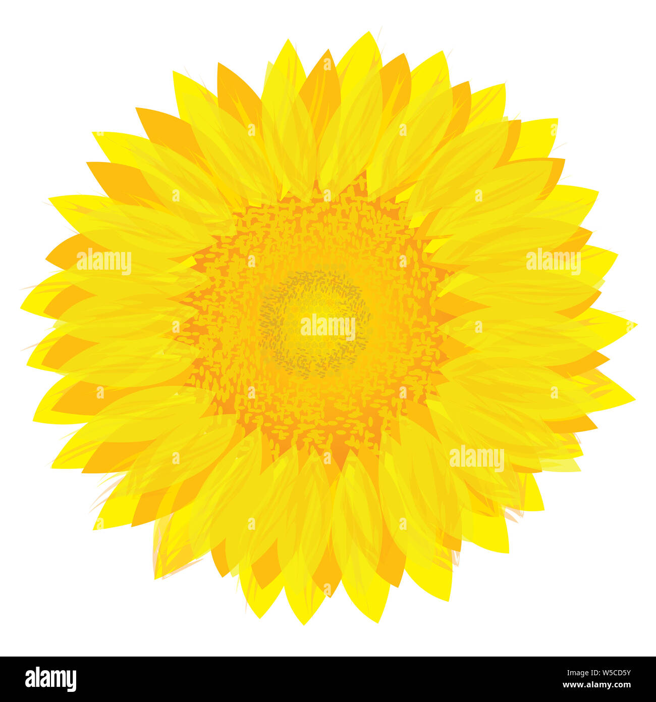 sunflower vector design Stock Photo - Alamy