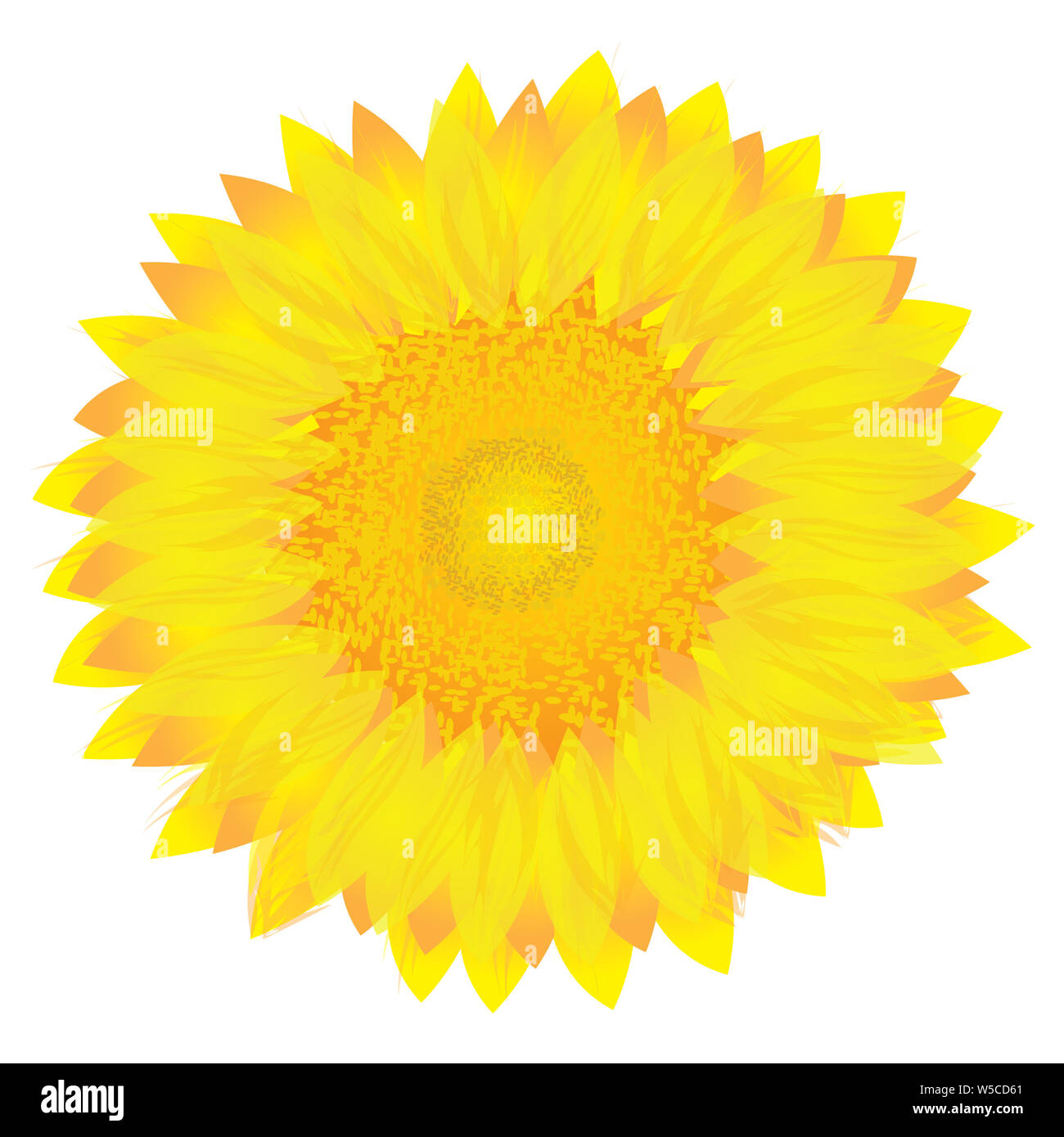 sunflower vector design Stock Photo - Alamy