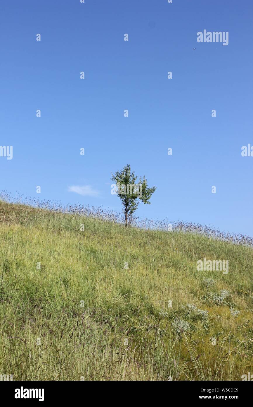 Meadow hill hi-res stock photography and images - Alamy