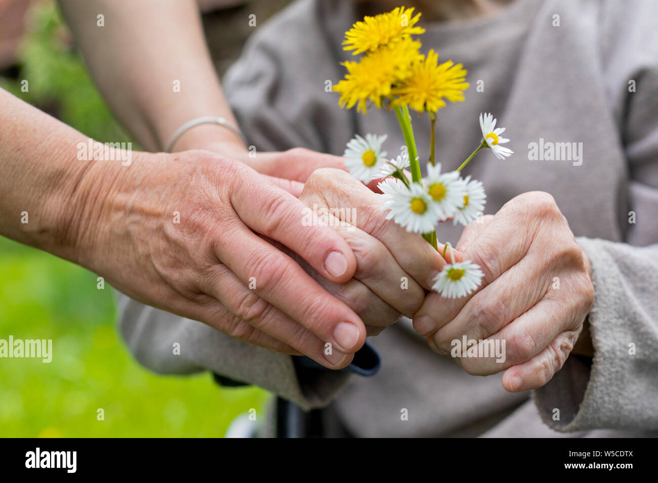 Close up picture of elderly woman with dementia holding flower bouquet ...
