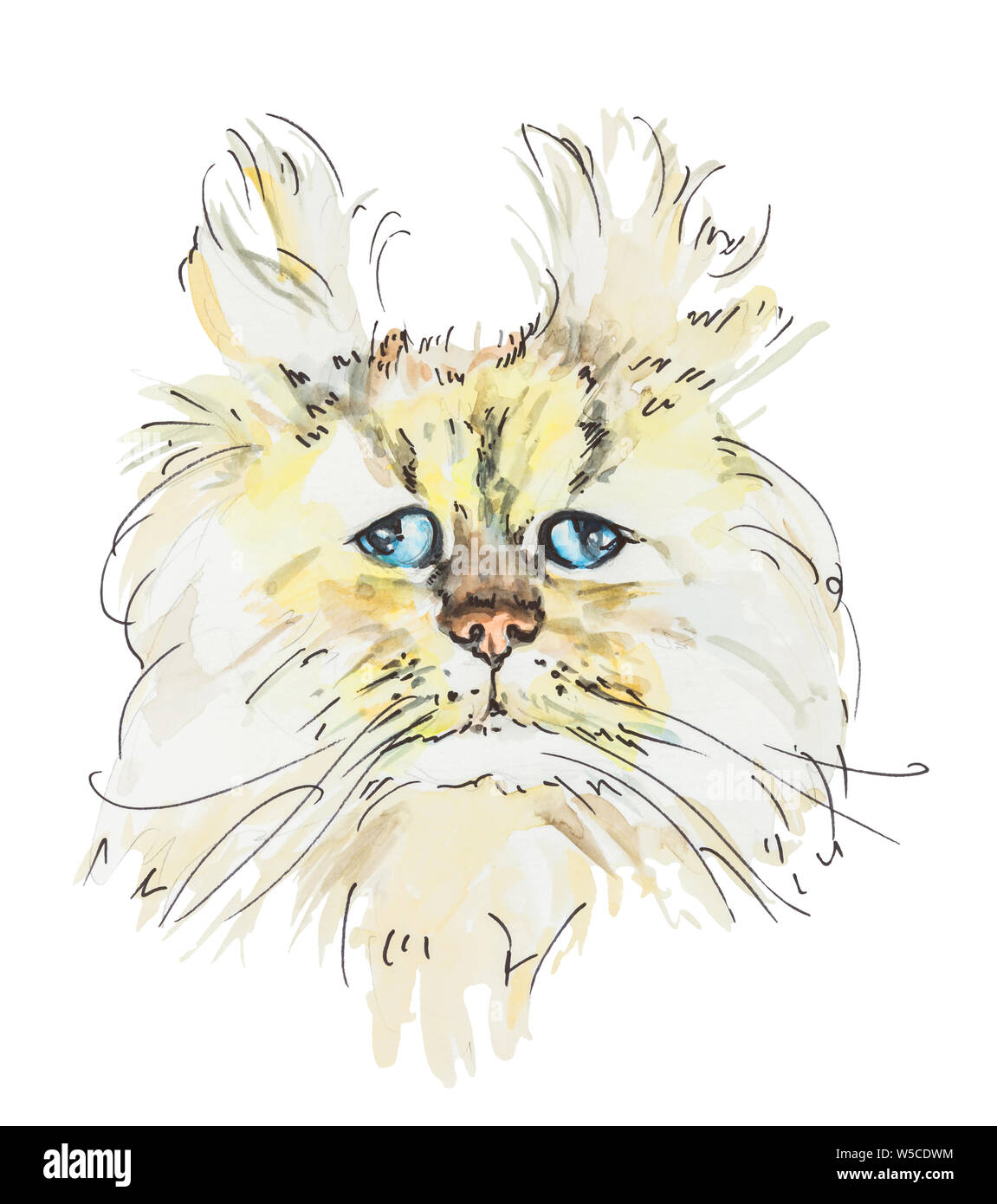 Watercolor drawing of sad fluffy kitten head Stock Photo - Alamy