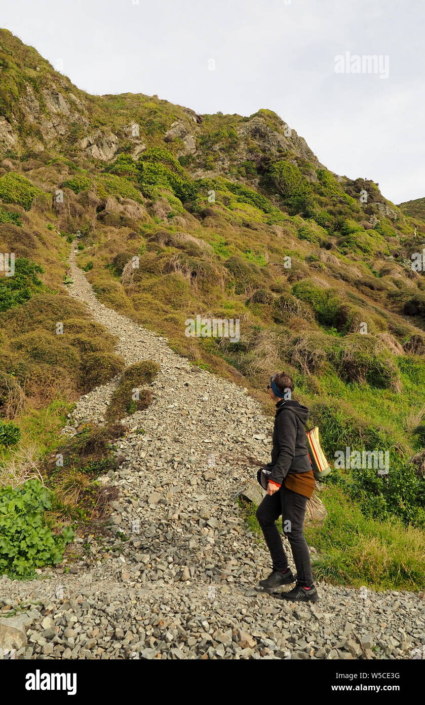 Rocky beachside track for walkers Stock Photo - Alamy