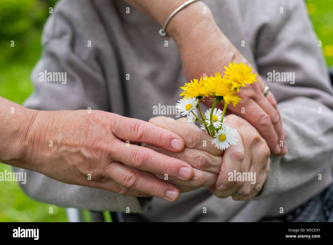 Close up picture of elderly woman with dementia holding flower bouquet ...