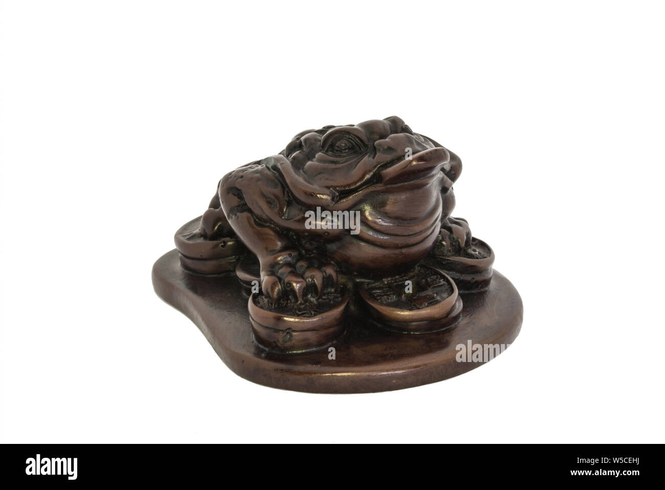 Three legged toad hi-res stock photography and images - Alamy