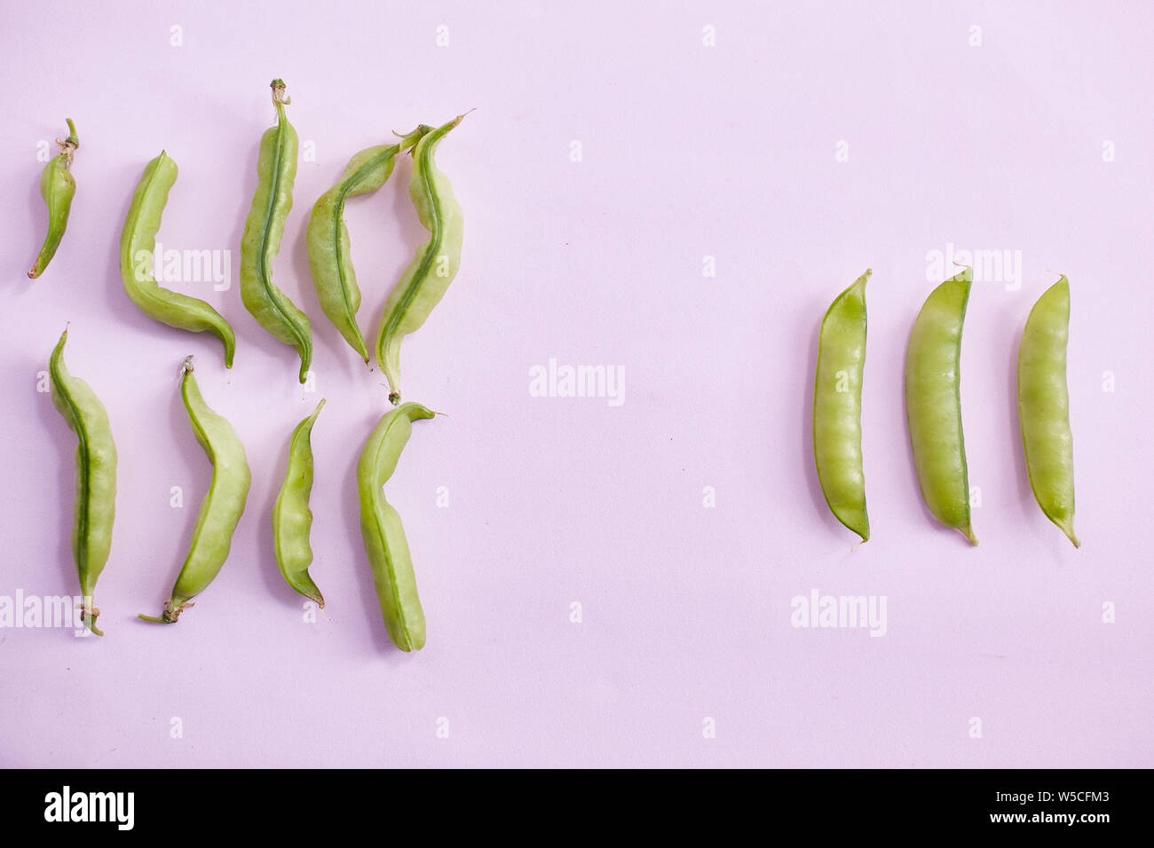 Ugly homegrown pea with a normal pea on a pink background. copy space ...