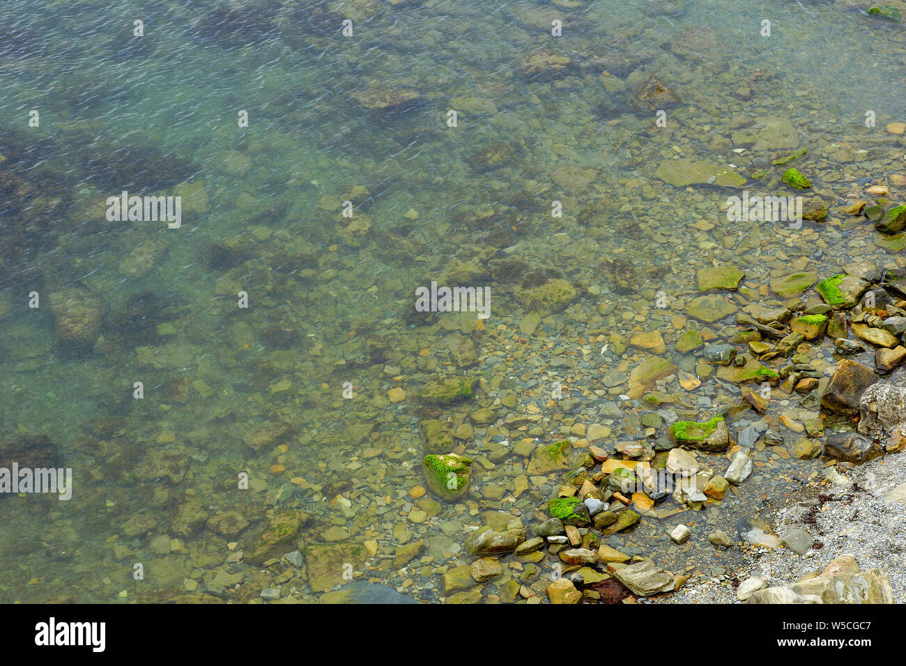 sea stones on the beach clear water. sea background top view. Beauty ...