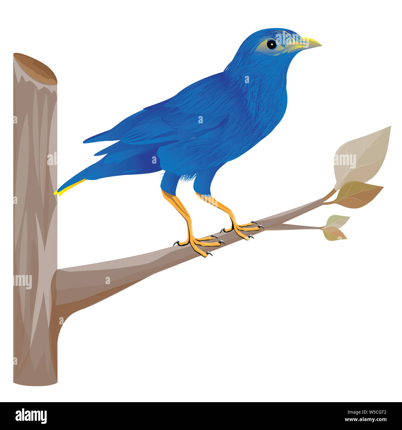 one bird on branch vector design Stock Photo - Alamy