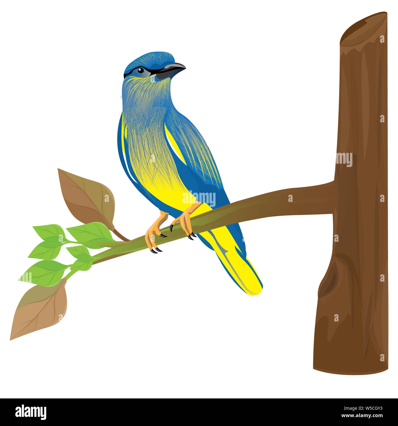 one bird on branch vector design Stock Photo - Alamy