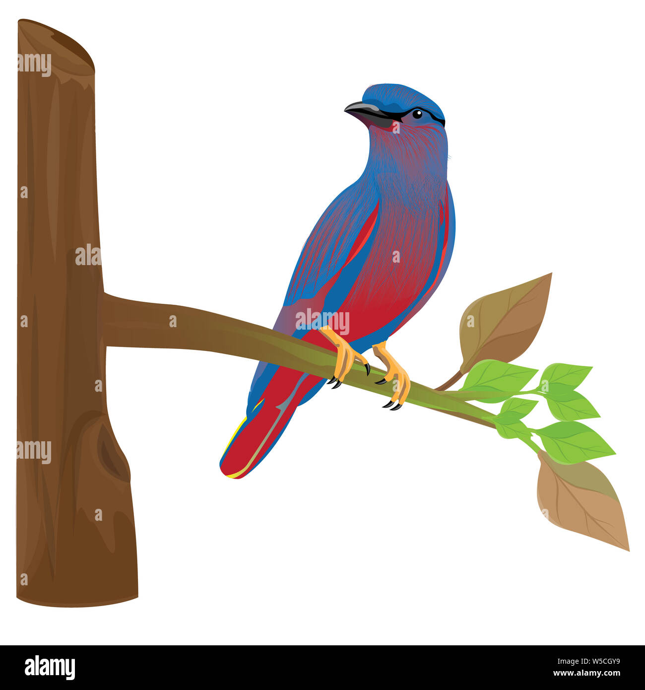 one bird on branch vector design Stock Photo - Alamy