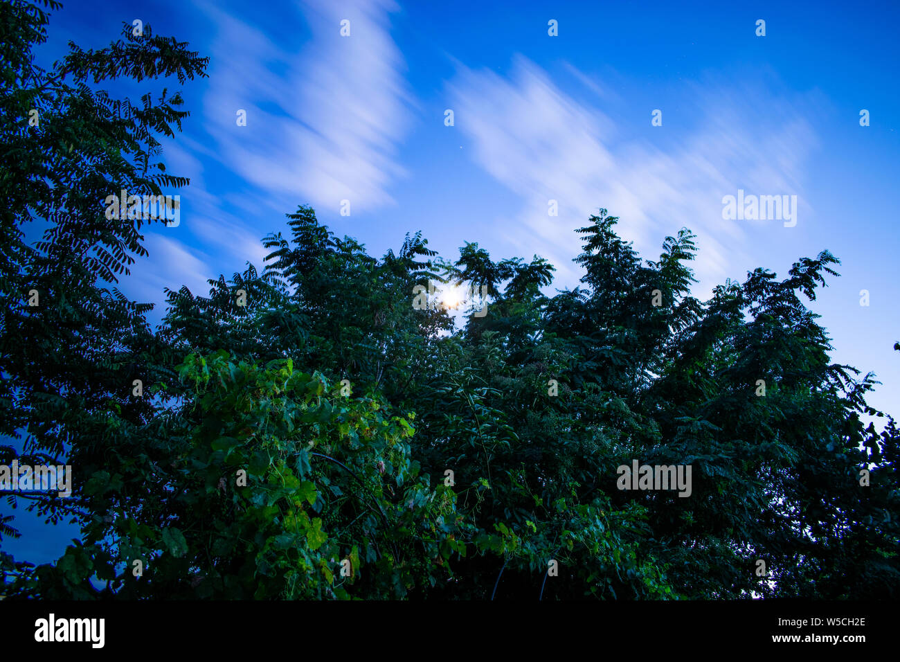 Full moon and clouds in sky hi-res stock photography and images - Alamy