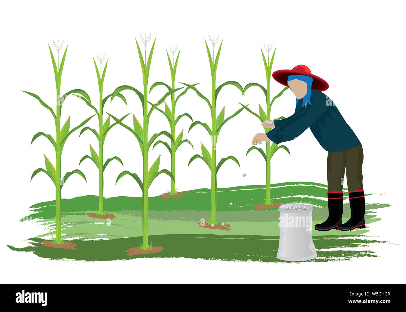 agriculturist manure corn plant vector design Stock Photo - Alamy